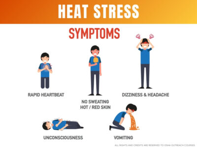 Heat Stress and Its Safety Measures